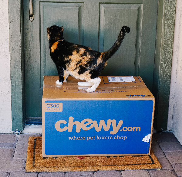 5 Reasons Why We Love Chewy For Pet Supplies Favorites For Cats 5 Reasons Why We Love Chewy For Pet Supplies Favorites For Cats